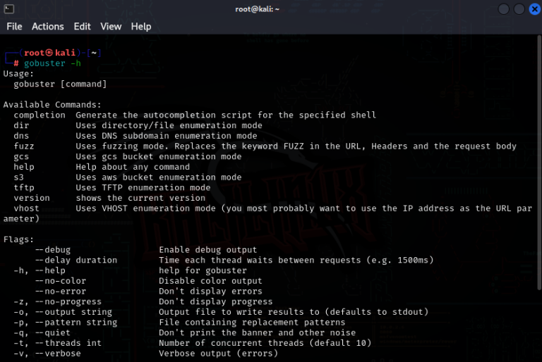 Gobuster Nedir? Nasıl Kullanılır? | Kali Linux Gobuster Tool - Serdar Daşdemir